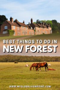 12 Iconic New Forest Attractions & Activities to Add to Your Itinerary ...