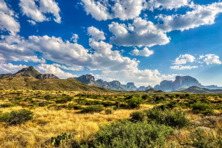 12 Must-Do Experiences in Big Bend National Park