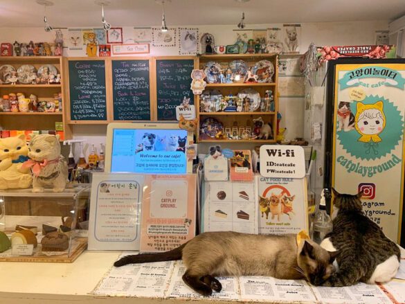 Seoul Has a Bagel Museum Restaurant. Plus 20 More Cool Spots to Try.