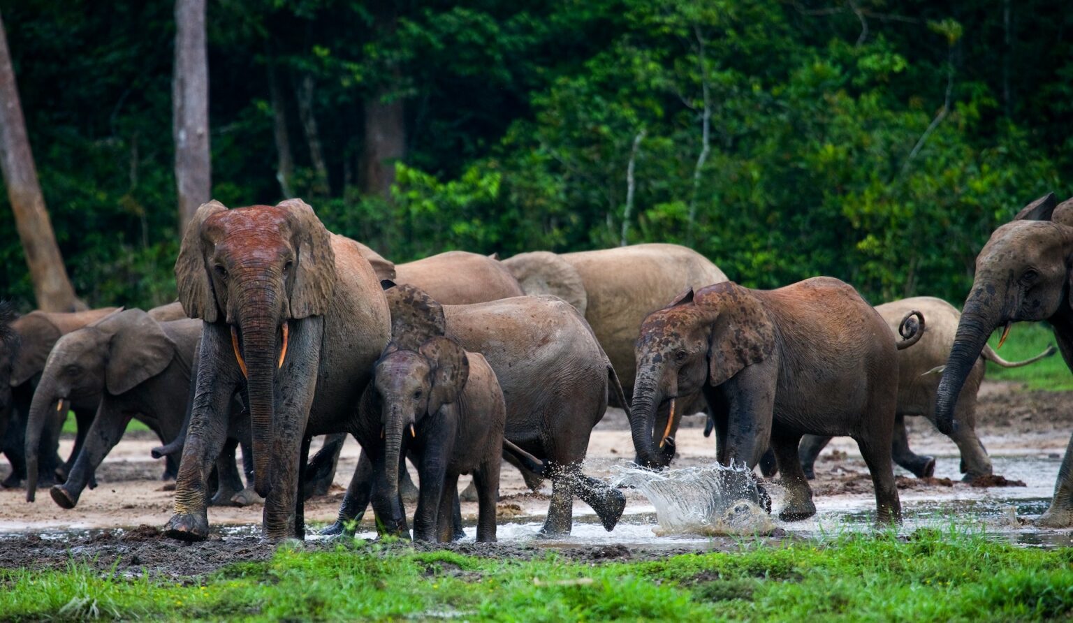 The 12 Most Magical Spots in Congo You Can’t Miss