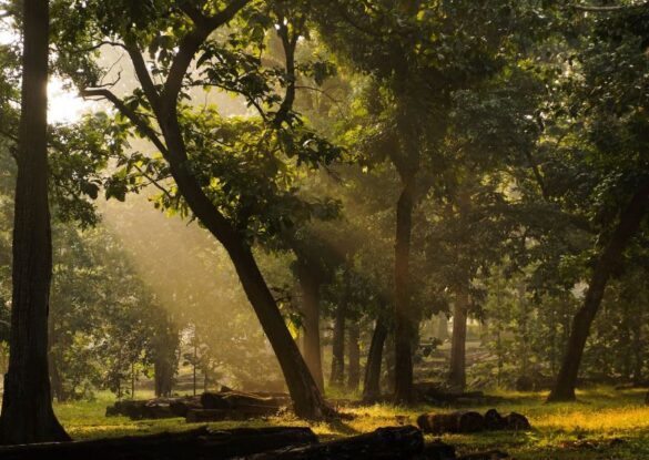 12 Scenic Destinations in Karnataka You Need to See - Global Viewpoint