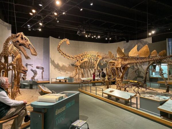 Best Things to Do in Denver at Night: Top 12 Nighttime Activities