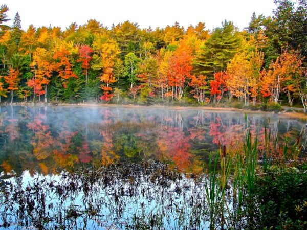 My Acadia National Park Bucket List Guide: 12 Must-Do Experiences ...