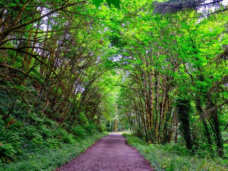 23 MUST DO Things in Portland at Night: Ultimate 2025 Guide!