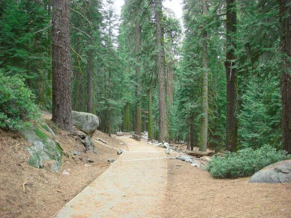 12 Best Things to Do in Sequoia National Park for an Unforgettable ...