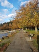 12 Amazing Hidden Gems in Seattle Only Locals Know About