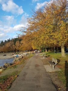 12 Amazing Hidden Gems in Seattle Only Locals Know About