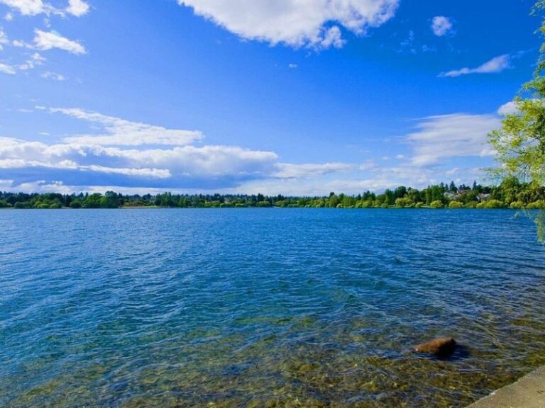 12 Amazing Hidden Gems in Seattle Only Locals Know About