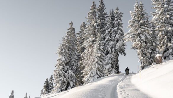 15 Must-Do Experiences in Gstaad, Switzerland