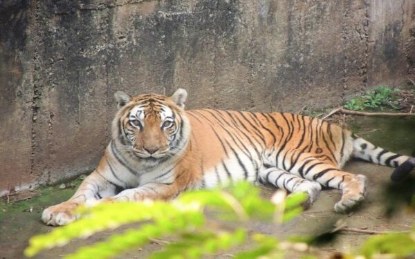 The 12 Most Magical Spots in Guwahati You Can’t Miss - Global Viewpoint