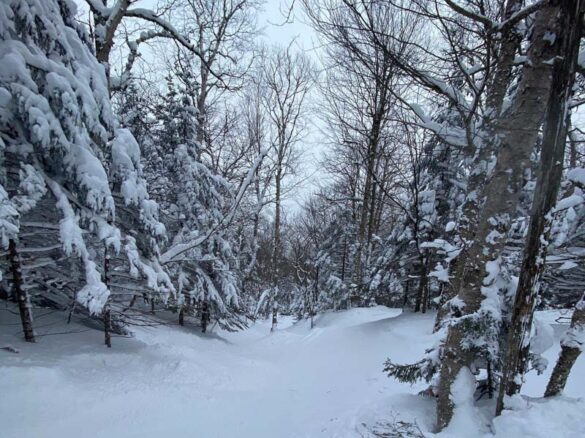 The 7 Best Vermont Mountains for Year-Round Adventure - Global Viewpoint