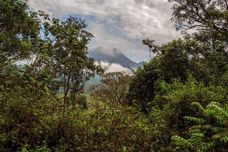 The 12 Most Magical Spots in Congo You Can’t Miss