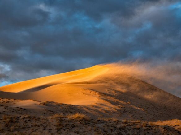 The Ultimate Mojave Desert Guide: 12 Things to Do & Places to Go ...