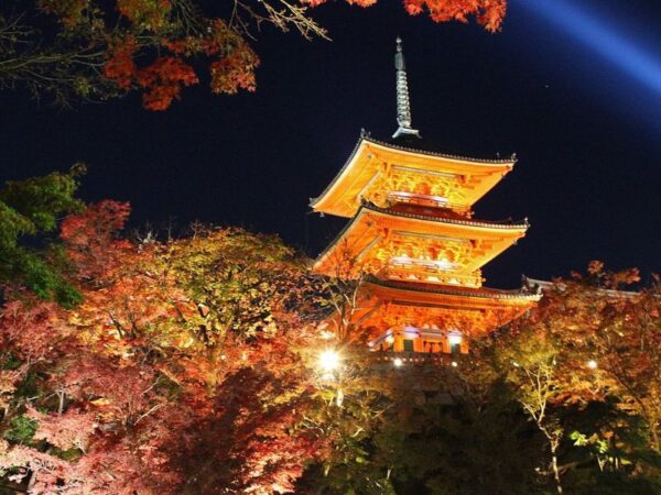 22 AMAZING Things to Do in Kyoto at Night (A Local's Guide)
