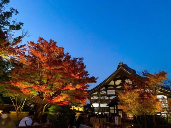 22 AMAZING Things to Do in Kyoto at Night (A Local's Guide)