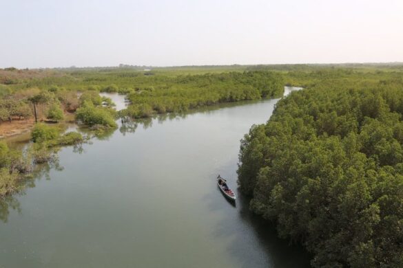 12 Amazingly Beautiful Places in the Gambia That Feel Unreal - Global ...