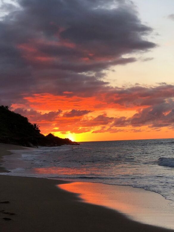 Rincón, Puerto Rico: 12 Attractions & Experiences for First-Timers ...