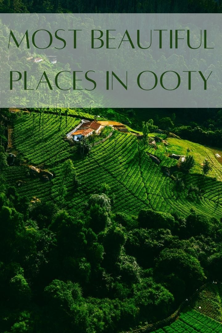 12 Dreamy Ooty Destinations That Look Straight Out of a Painting ...