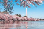 If You Haven’t Been to These 12 Washington DC Spots, You’re Missing Out