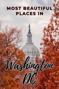 If You Haven’t Been to These 12 Washington DC Spots, You’re Missing Out