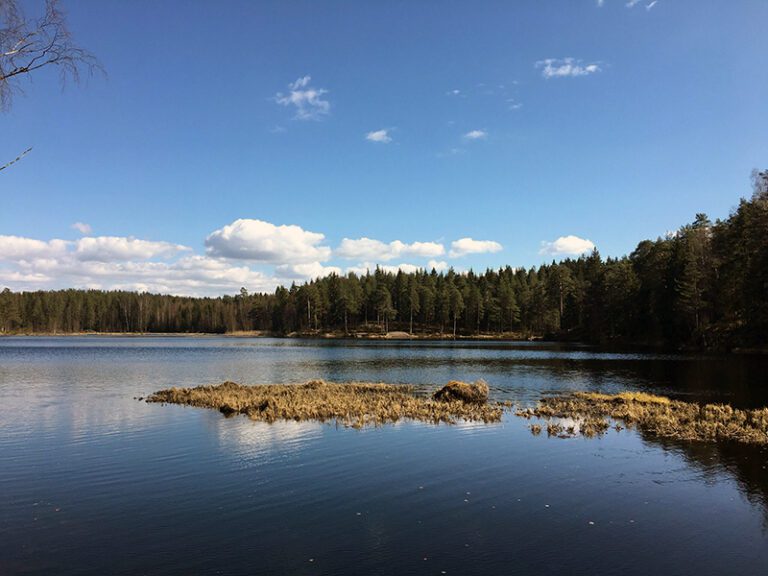 12 Absolutely Breathtaking Places to Visit in Oslo
