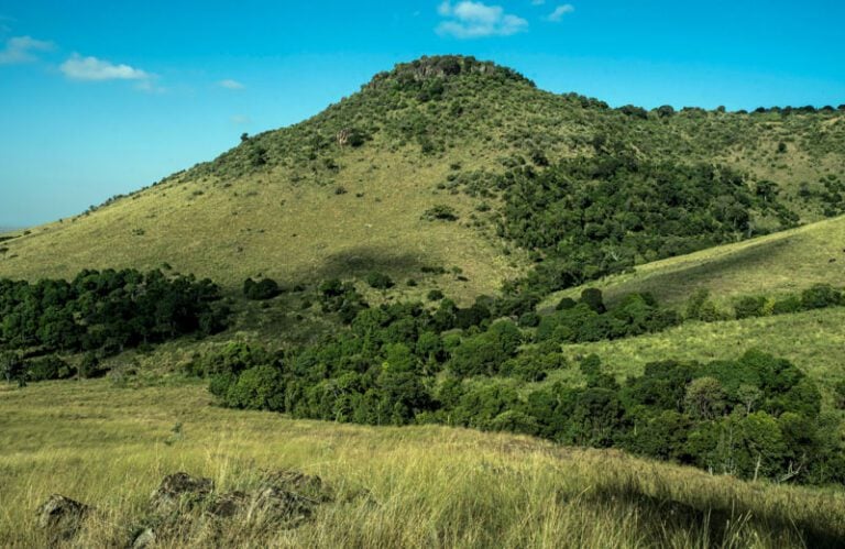 The Ultimate Maasai Mara Guide: 12 Things to Do & Places to Go