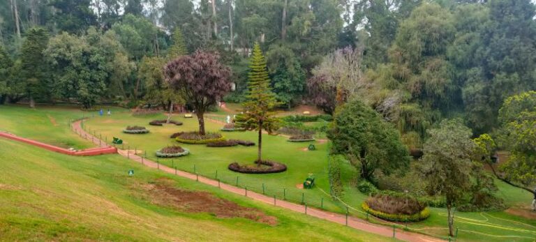 12 Dreamy Ooty Destinations That Look Straight Out of a Painting ...