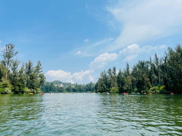 12 Dreamy Ooty Destinations That Look Straight Out of a Painting ...