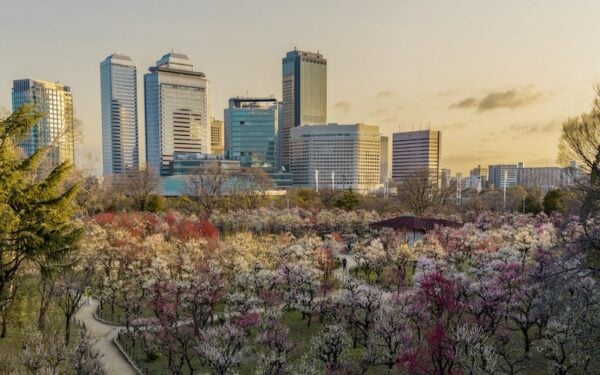 12 Picture-Perfect Places in Osaka That Feel Like a Dream - Global ...