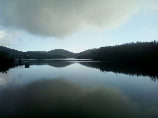 12 Dreamy Ooty Destinations That Look Straight Out of a Painting ...