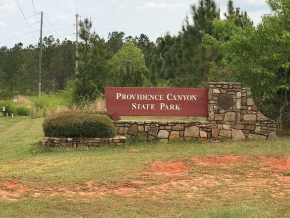 Top 12 Hidden Gems in Georgia (USA) You Won’t Believe Exist