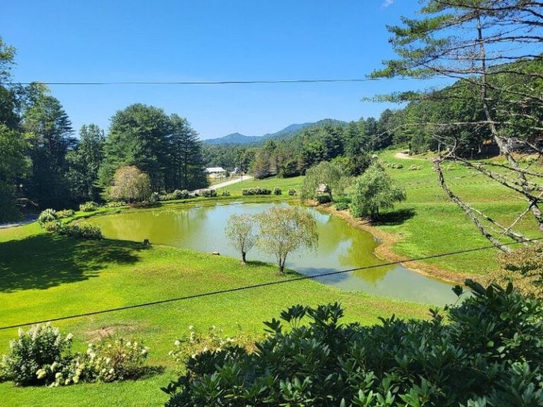 12 Must-See Destinations in North Georgia in 2026 - Global Viewpoint