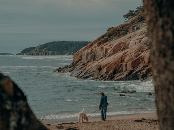 My Acadia National Park Bucket List Guide: 12 Must-Do Experiences ...
