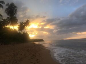 Rincón, Puerto Rico: 12 Attractions & Experiences for First-Timers ...