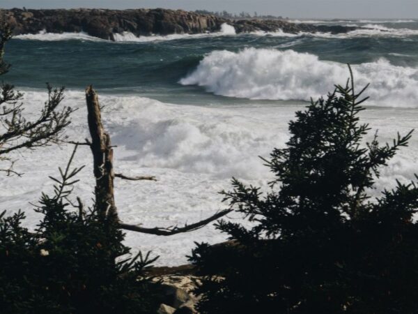 My Acadia National Park Bucket List Guide: 12 Must-Do Experiences - Global Viewpoint