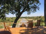 The Ultimate Maasai Mara Guide: 12 Things to Do & Places to Go
