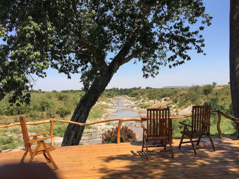 The Ultimate Maasai Mara Guide: 12 Things to Do & Places to Go