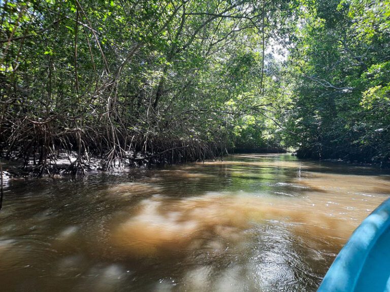 12 Iconic Tamarindo, Costa Rica Attractions & Activities to Add to Your ...