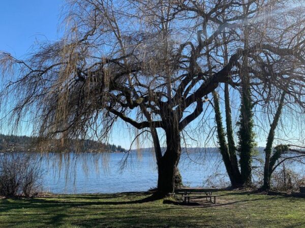 12 Amazing Hidden Gems in Seattle Only Locals Know About