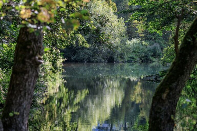 12 Enchanting Spots in The East Midlands to Add to Your Bucket List ...