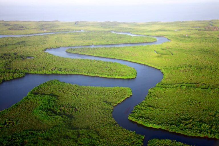 12 Amazingly Beautiful Places in the Gambia That Feel Unreal - Global ...