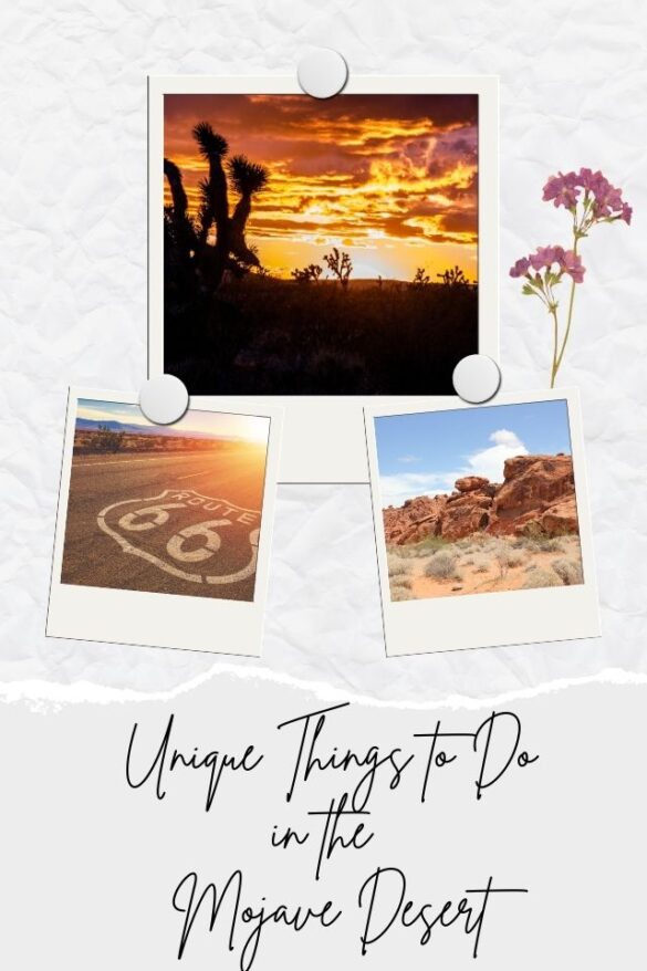 The Ultimate Mojave Desert Guide: 12 Things to Do & Places to Go ...