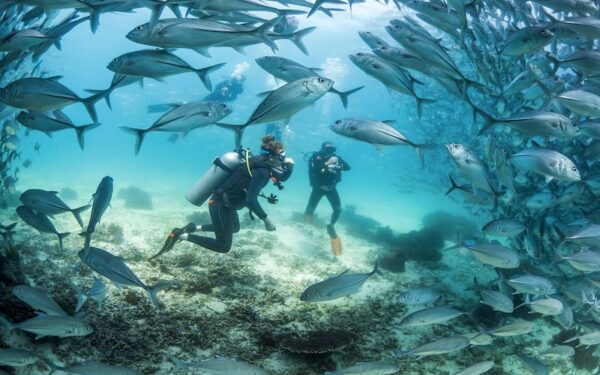 12 Enchanting Places in Visayas That Look Straight Out of a Postcard ...