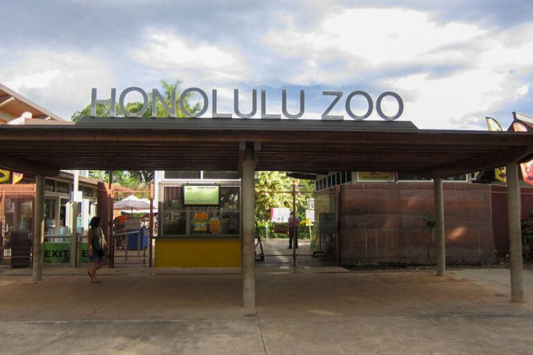12 INSANE Things to Do in Honolulu at Night (Paradise After Dark!)
