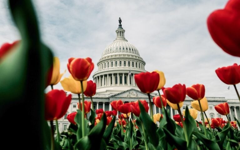 If You Haven’t Been to These 12 Washington DC Spots, You’re Missing Out