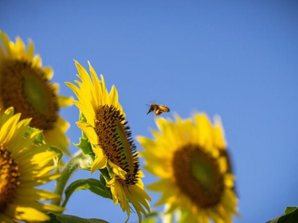 12 Amazing Hidden Gems in Seattle Only Locals Know About