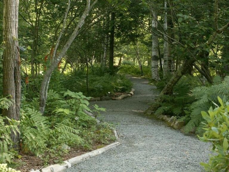 My Acadia National Park Bucket List Guide: 12 Must-Do Experiences ...