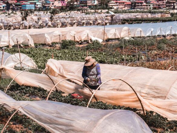 10 Best Places to Live in Southeast Asia - Global Viewpoint