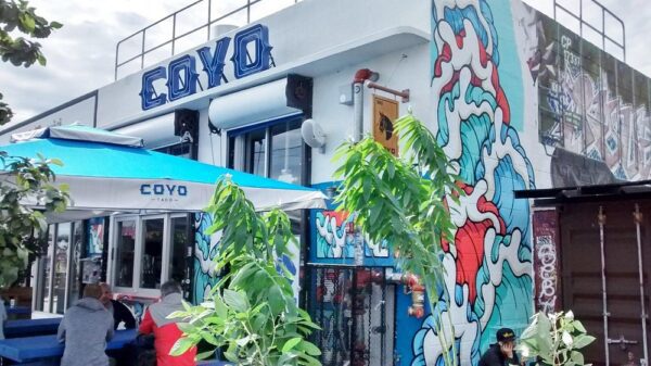 20 Coolest Restaurants in Miami That Aren't Just South Beach Hype