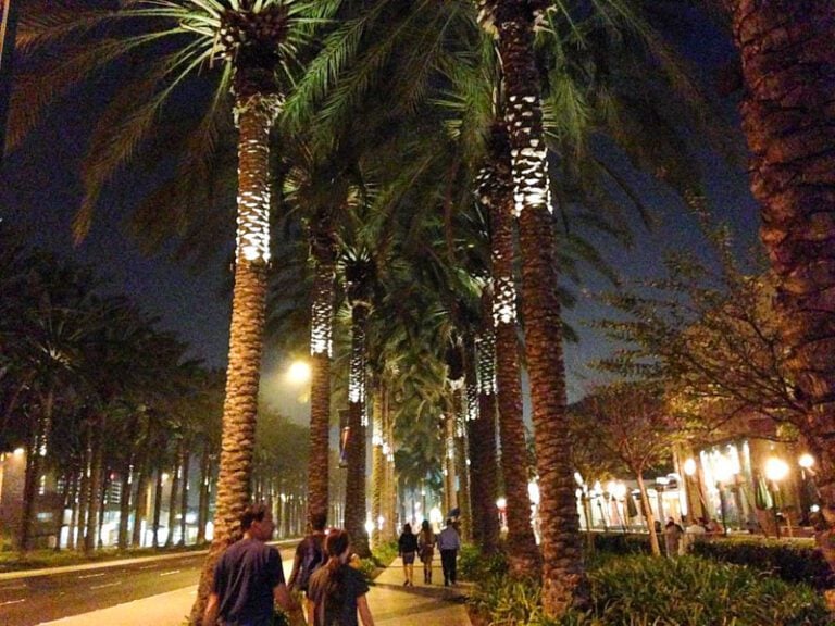 Surprising Houston To Anaheim California Gallery